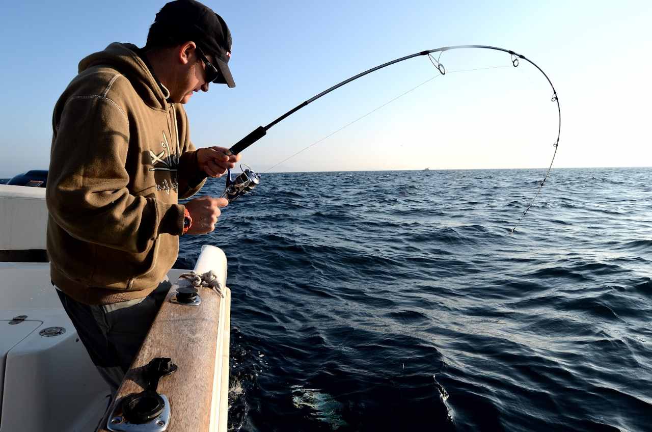 ᐅ Beste Vishengel. Vergelijking En Goedkope Prijzen - Juni 2019