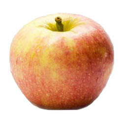 Gold Rush Apple Grown at Apple Holler