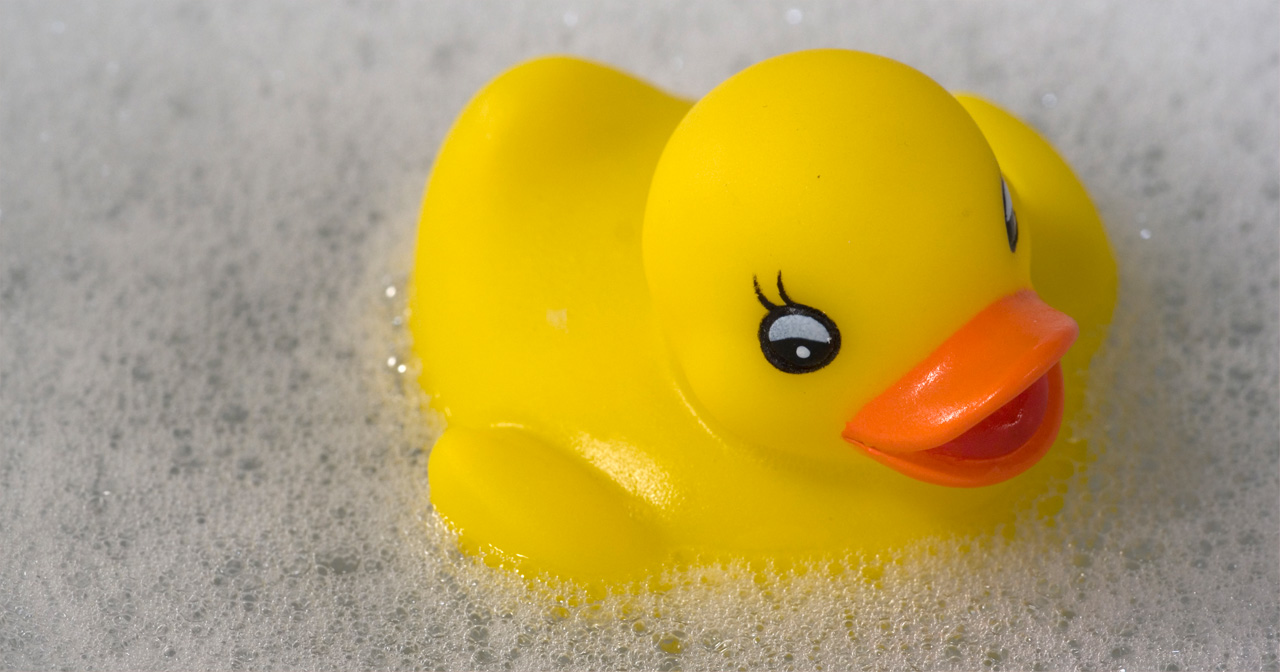 Monkey business: Duck anatomy - Bedsider