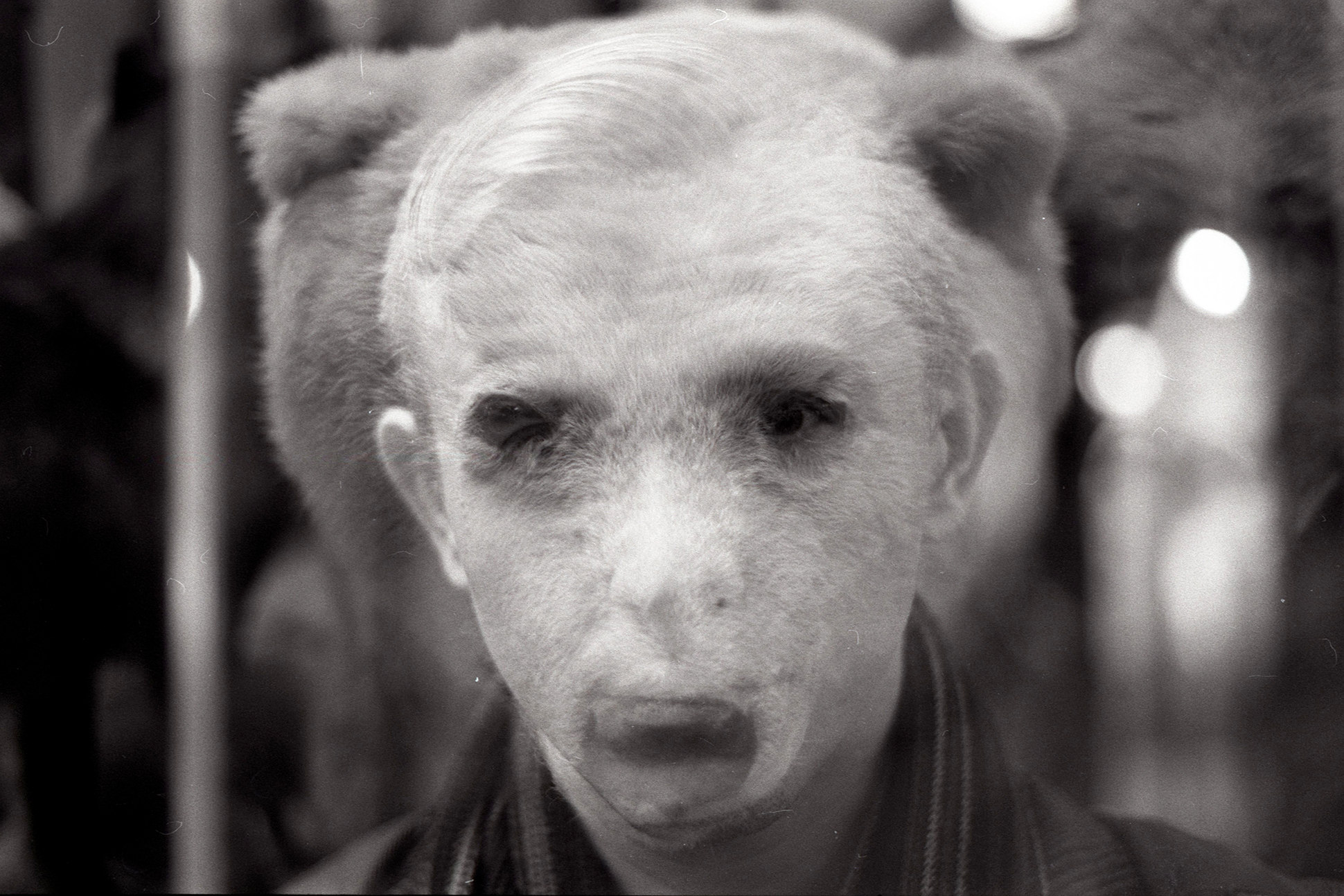 Myth of the Mole | The Poetry Foundation