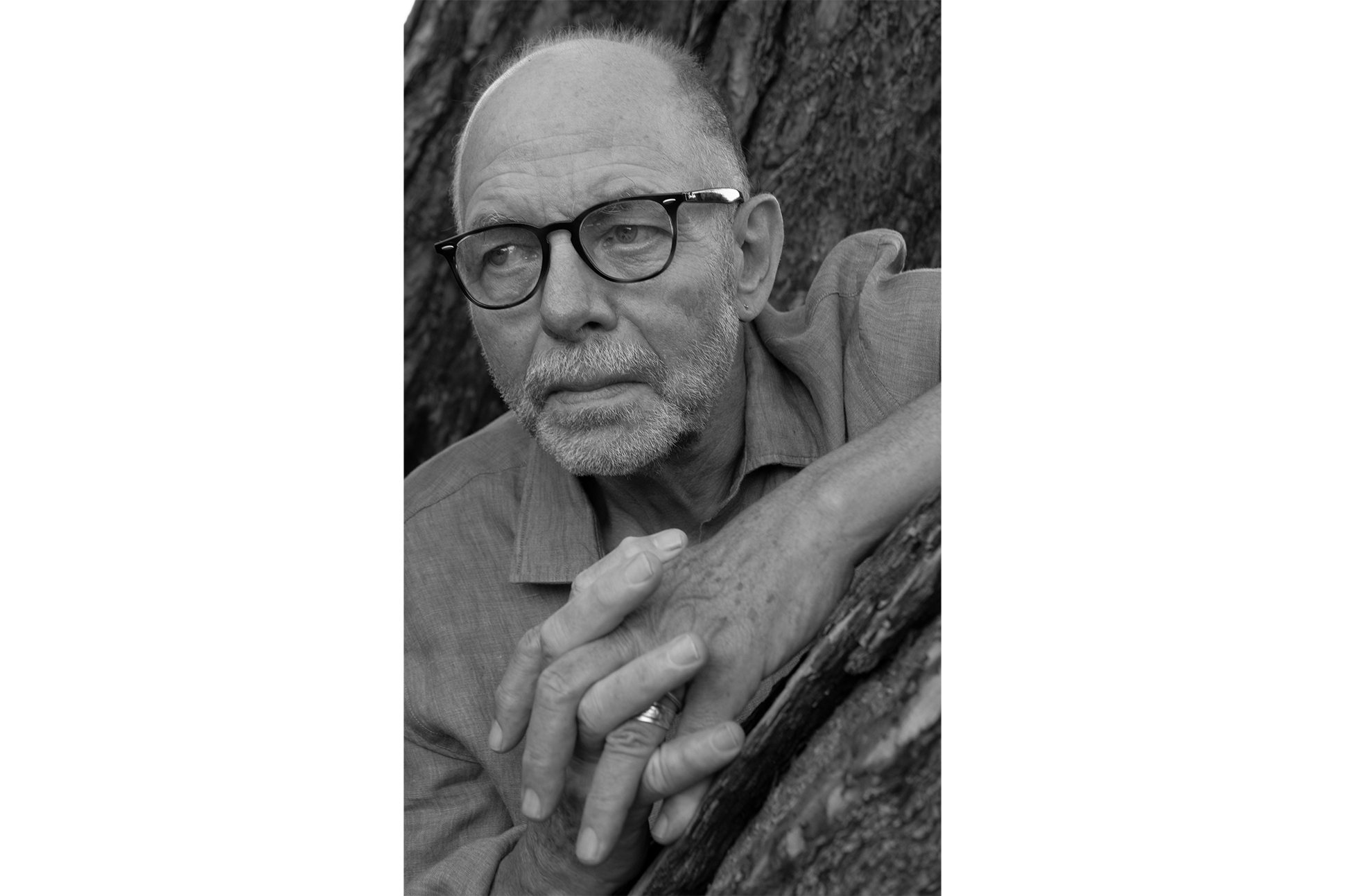 Dear Robert, I | The Poetry Foundation