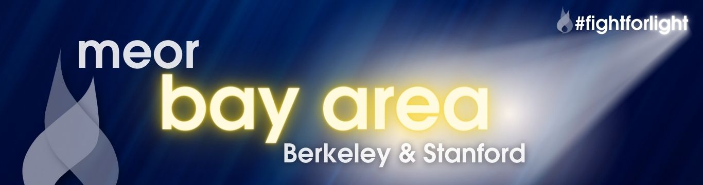 MEOR 23 - Fight for Light