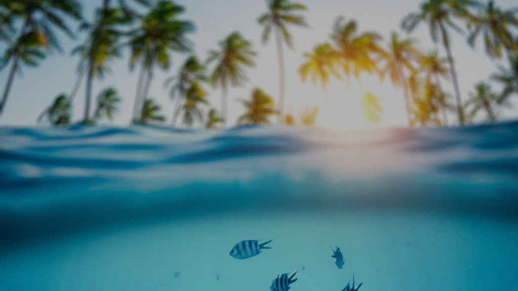 Offshore Employment Partners | CML Offshore Recruitment