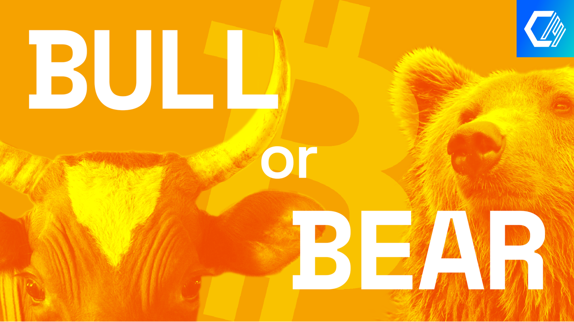 Compass Mining Research: Bitcoin Bull or Bear Cycle Analysis - Where ...