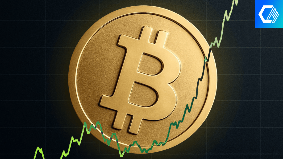 Why Is Bitcoin So Expensive and What Drives the Price