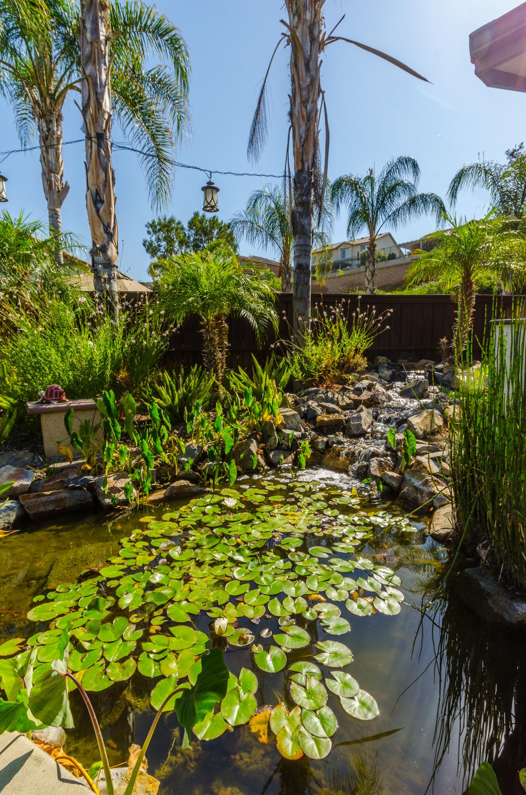 Virtual Tour
