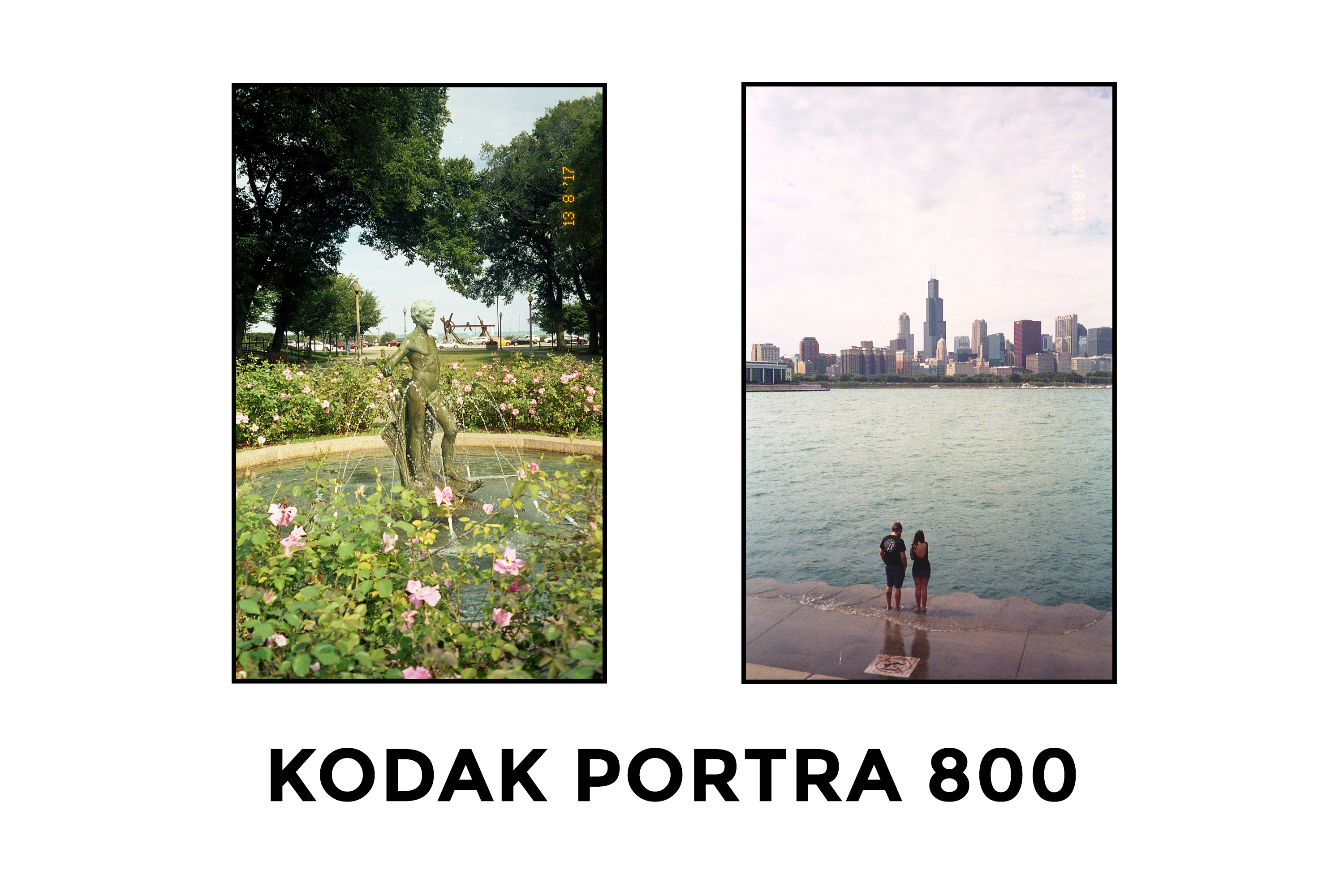 Film Stock Review: Fuji Superia 800 vs. Kodak Portra 800 - FilterGrade