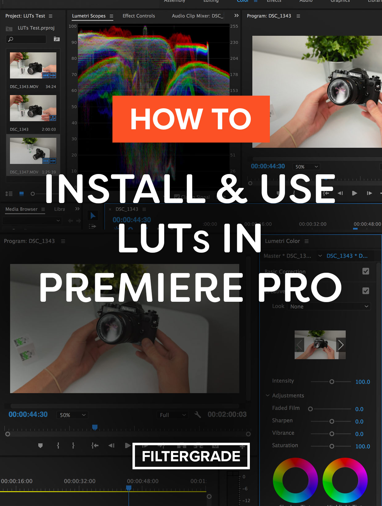 Lumetri Color Premiere Cs6 Download Free Limitedlasopa