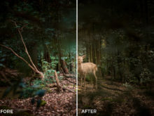 Nick Asphodel Lightroom Presets Mega Universal Bundle - FilterGrade