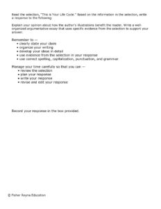 This-is-Your-Life-Cycle - Fisher Reyna