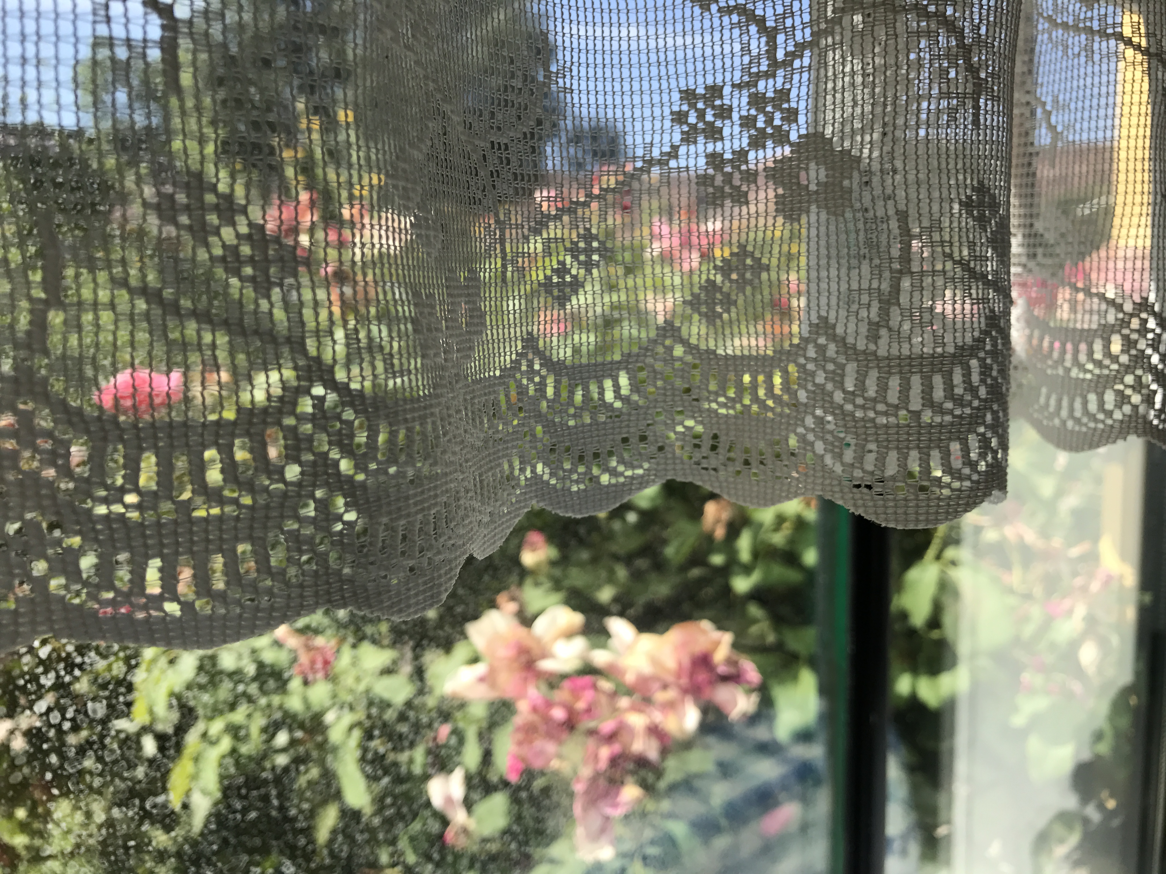 Where to Eat in Moab, Utah