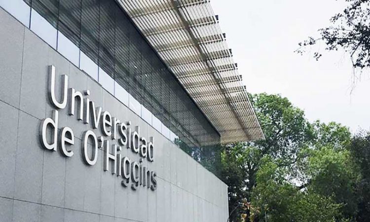 UOH: "Segundo semestre se implementará en modalidad no presencial en su ...