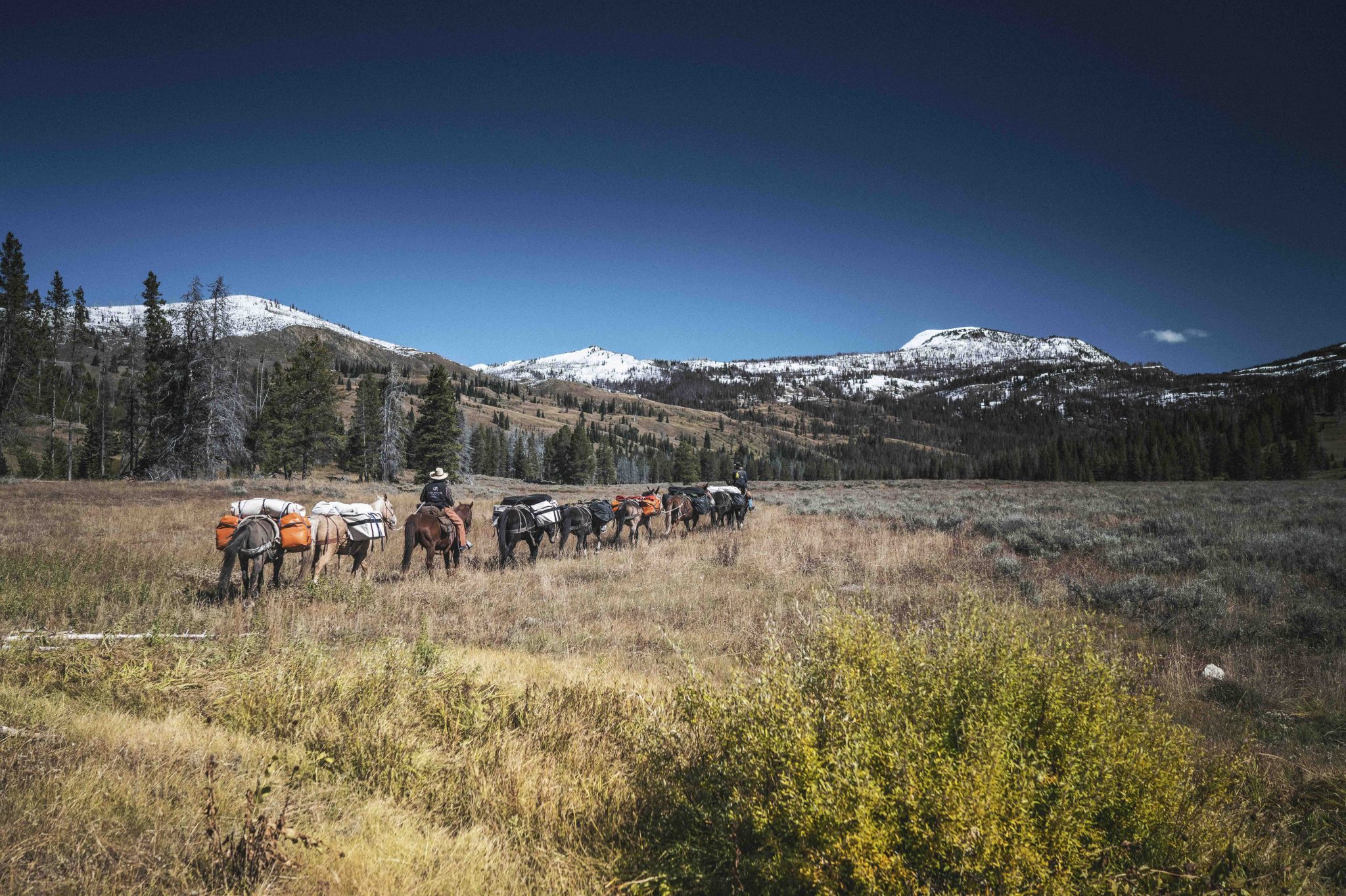 Lone Mountain Ranch Packages | Curated Collection of Adventures