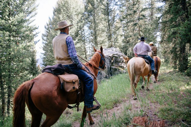 Horses at Lone Mountain Ranch | Lone Mountain Ranch