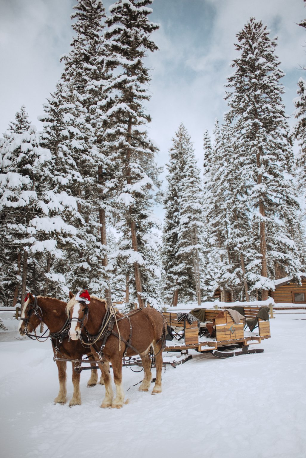 Sleigh Ride Dinner | Lone Mountain Ranch