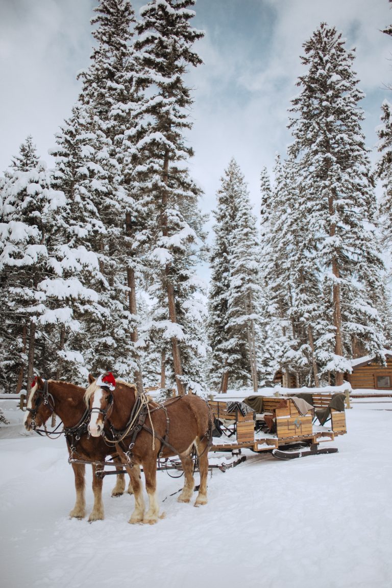 Sleigh Ride Dinner | Lone Mountain Ranch