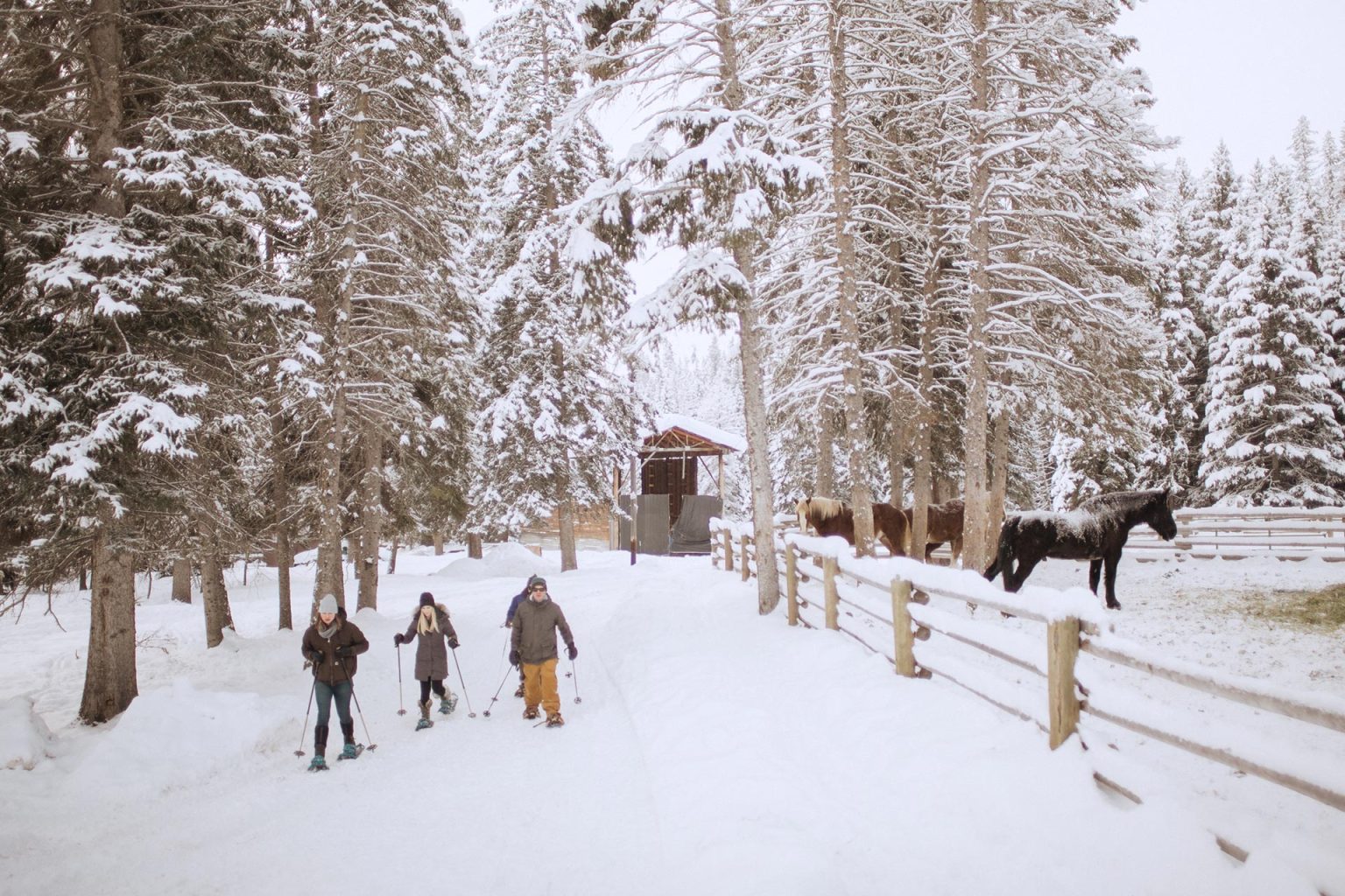 Dining | Lone Mountain Ranch