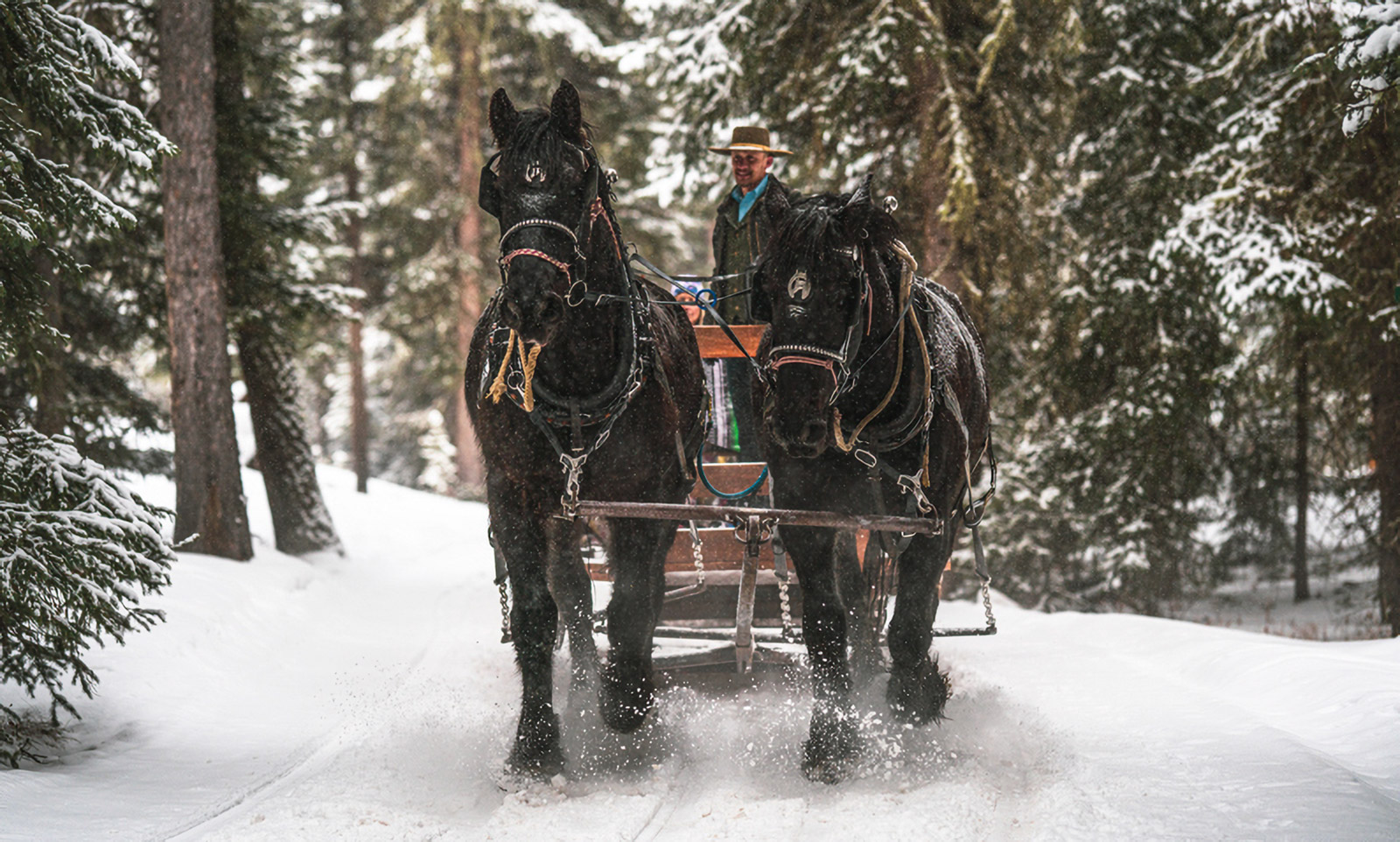 Sleigh Ride Dinner Venue Details | Lone Mountain Ranch