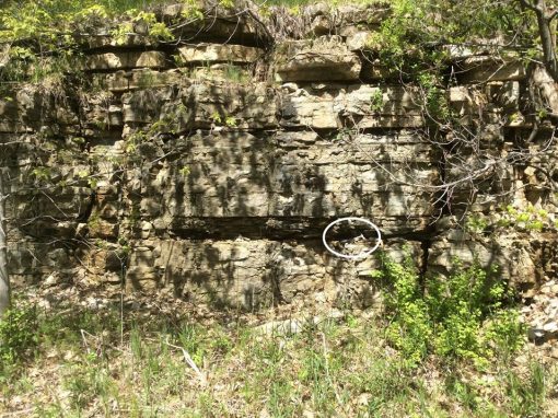 Dr. Bill's MN Geology Snapshots - Minnesota Mineral Club