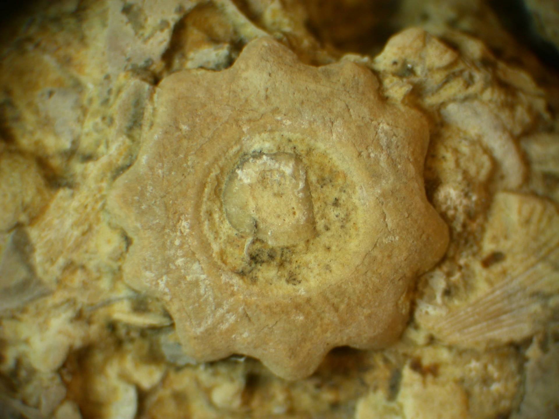 Dr. Bill's MN Geology Snapshots - Minnesota Mineral Club