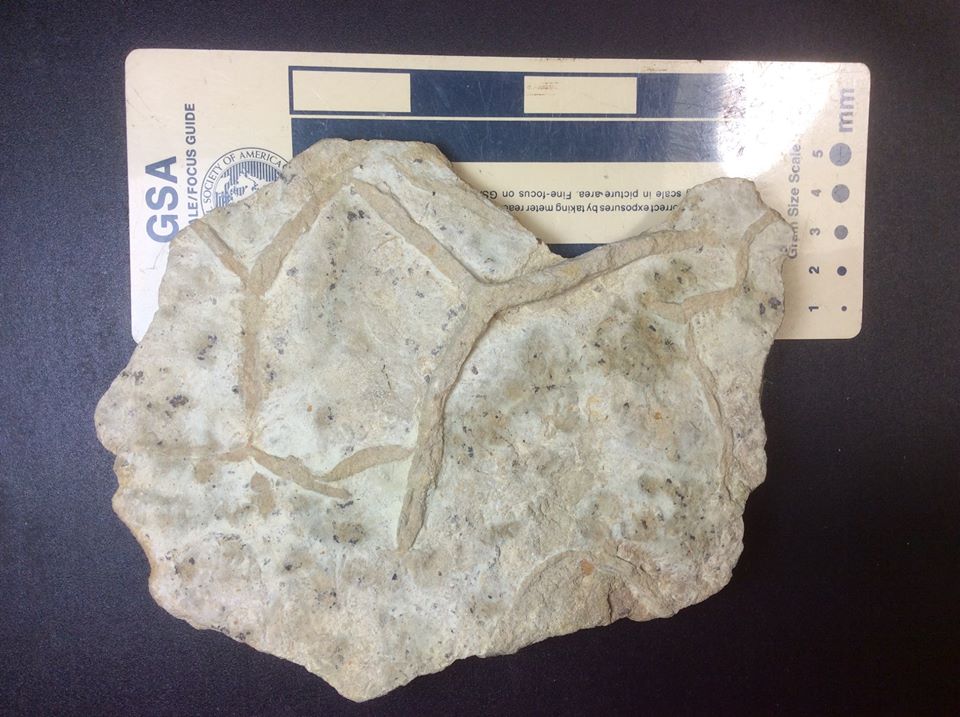 Dr. Bill's MN Geology Snapshots - Minnesota Mineral Club