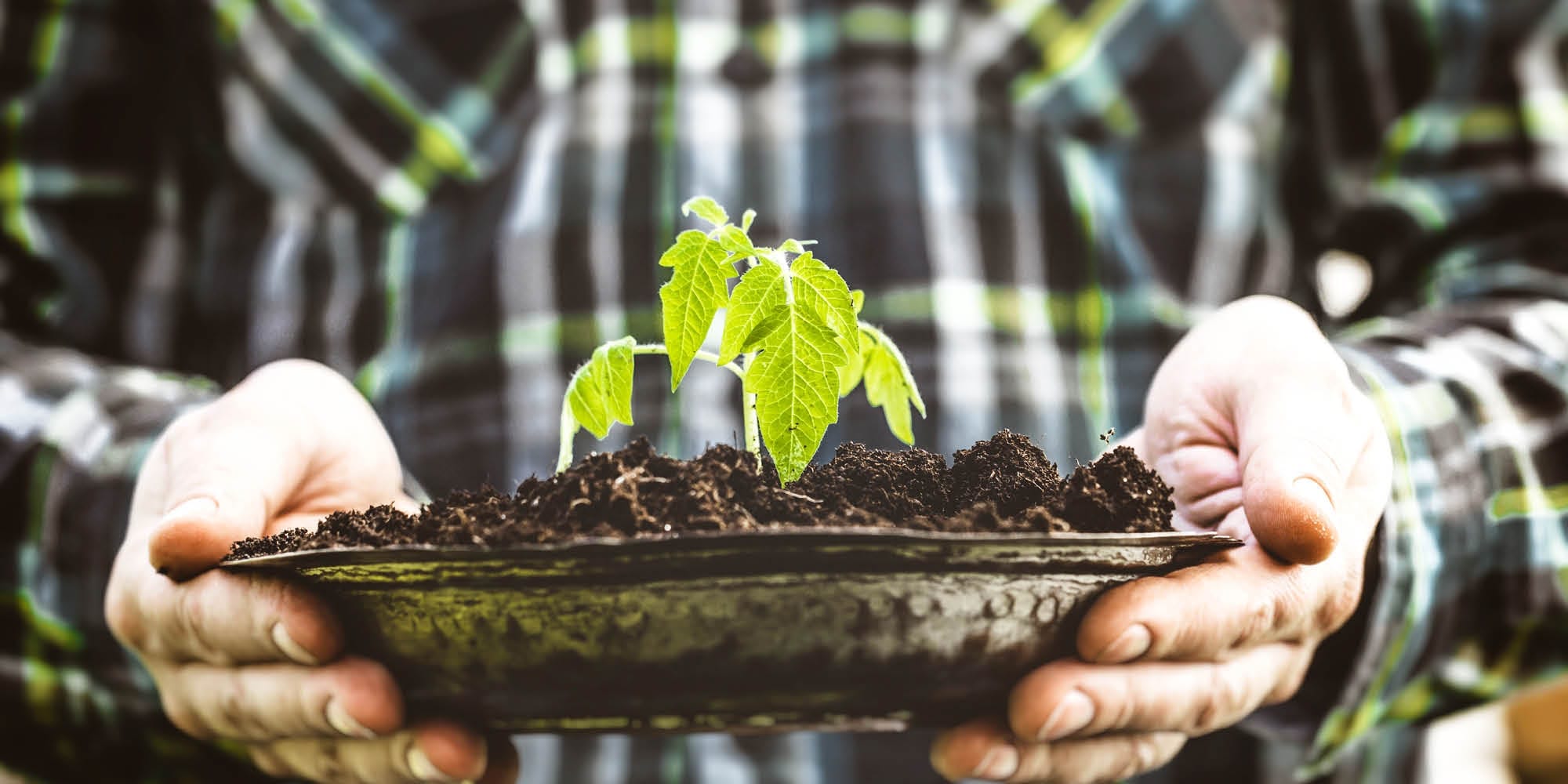 God Creates The Flowers; We Plant The Seeds. | Apostolic Faith Church