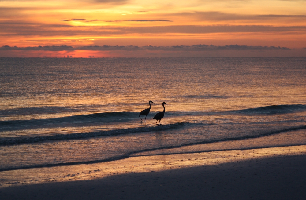 Spring break: The 5 most chilled-out Florida beaches | Orbitz