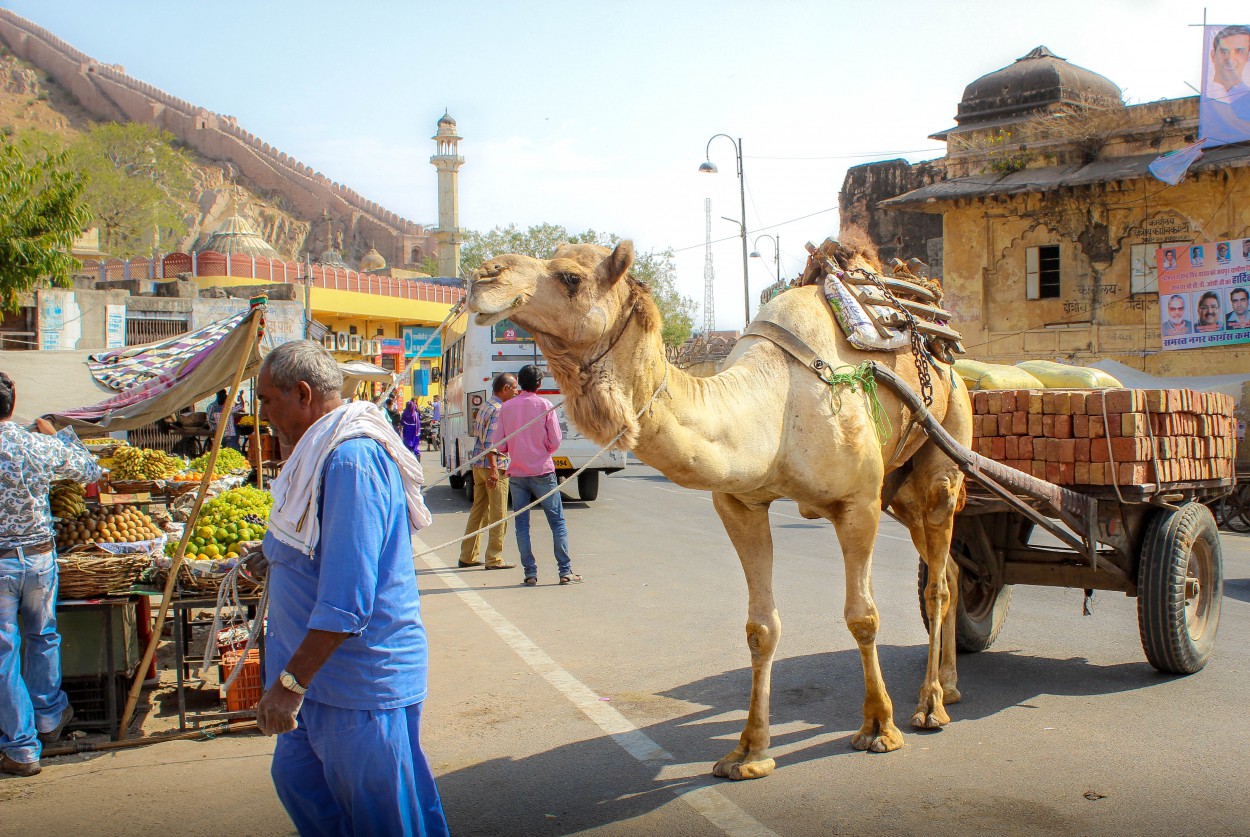 21 photos that will inspire a trip to India | Orbitz