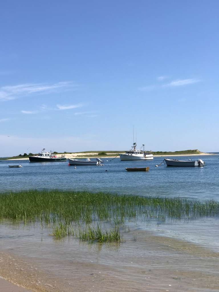 The 8 best things to do in Cape Cod (while the weather's still nice ...