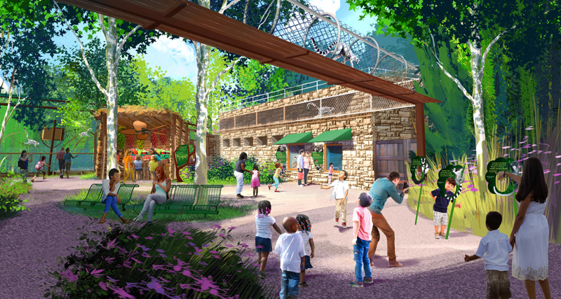 Climb High With The Monkeys At The Saint Louis Zoo