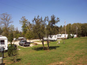 Top 10 Campgrounds & RV Parks Near Orange Beach, AL