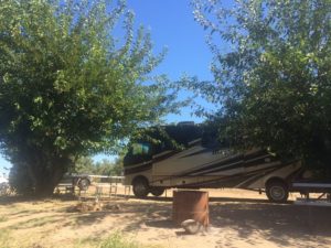 Top 10 Campgrounds & RV Parks in Modesto, CA