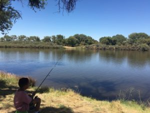 Top 10 Campgrounds & RV Parks in Modesto, CA