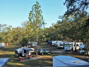 Top 10 Campgrounds & RV Parks in Brunswick, GA