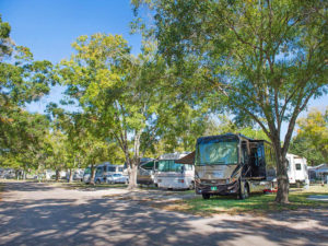 Top 10 Campgrounds & RV Parks Near Clearwater,FL