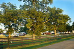 Top 10 Campgrounds & RV Parks Near Macon Warner Robins,GA