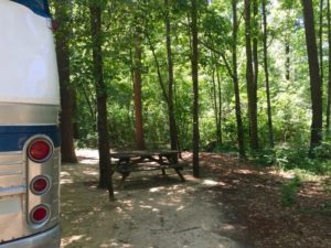 Top 10 Campgrounds & RV Parks in Florence, South Carolina