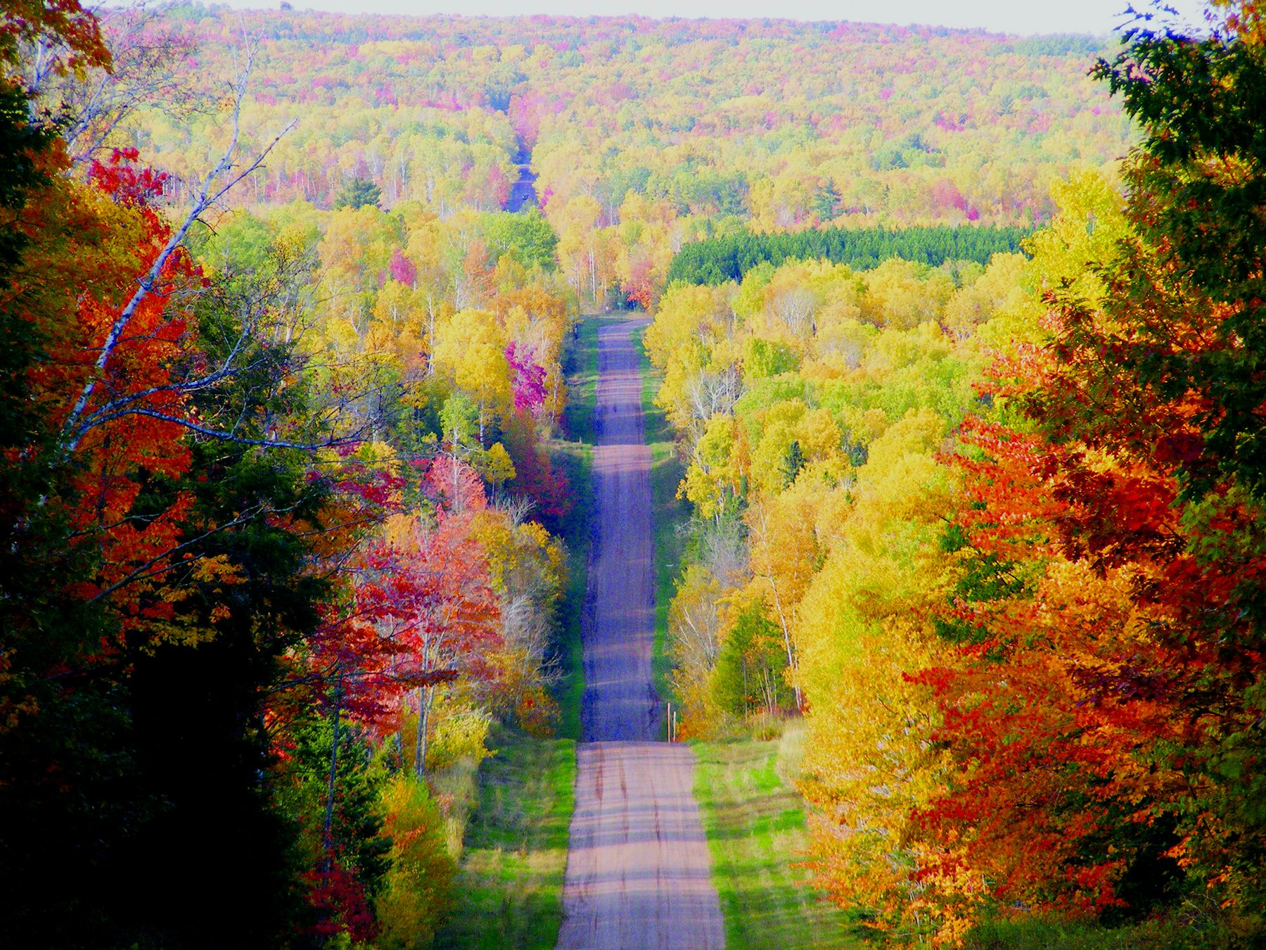 Gorgeous Drives to Check Out in Every State - RVshare.com