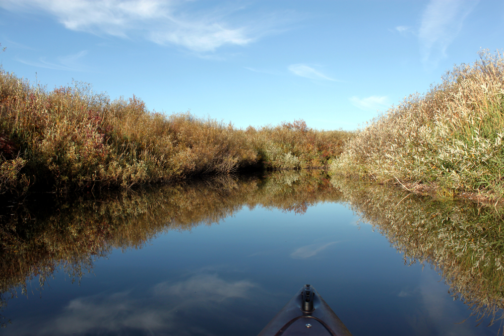 The Best Places to Go Canoeing and Kayaking this Summer - RVshare.com