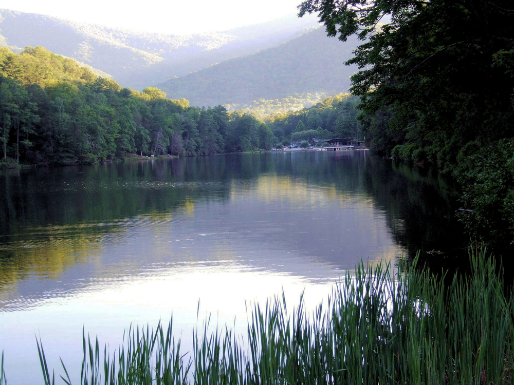 8 Fun Summer Activities for Kids and Adults!