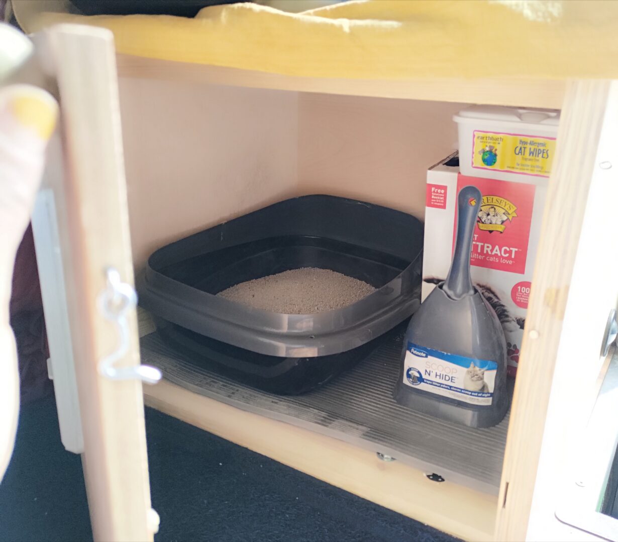 How to Train Your Cat to Enjoy RVing: Vanna Mae - RVshare.com