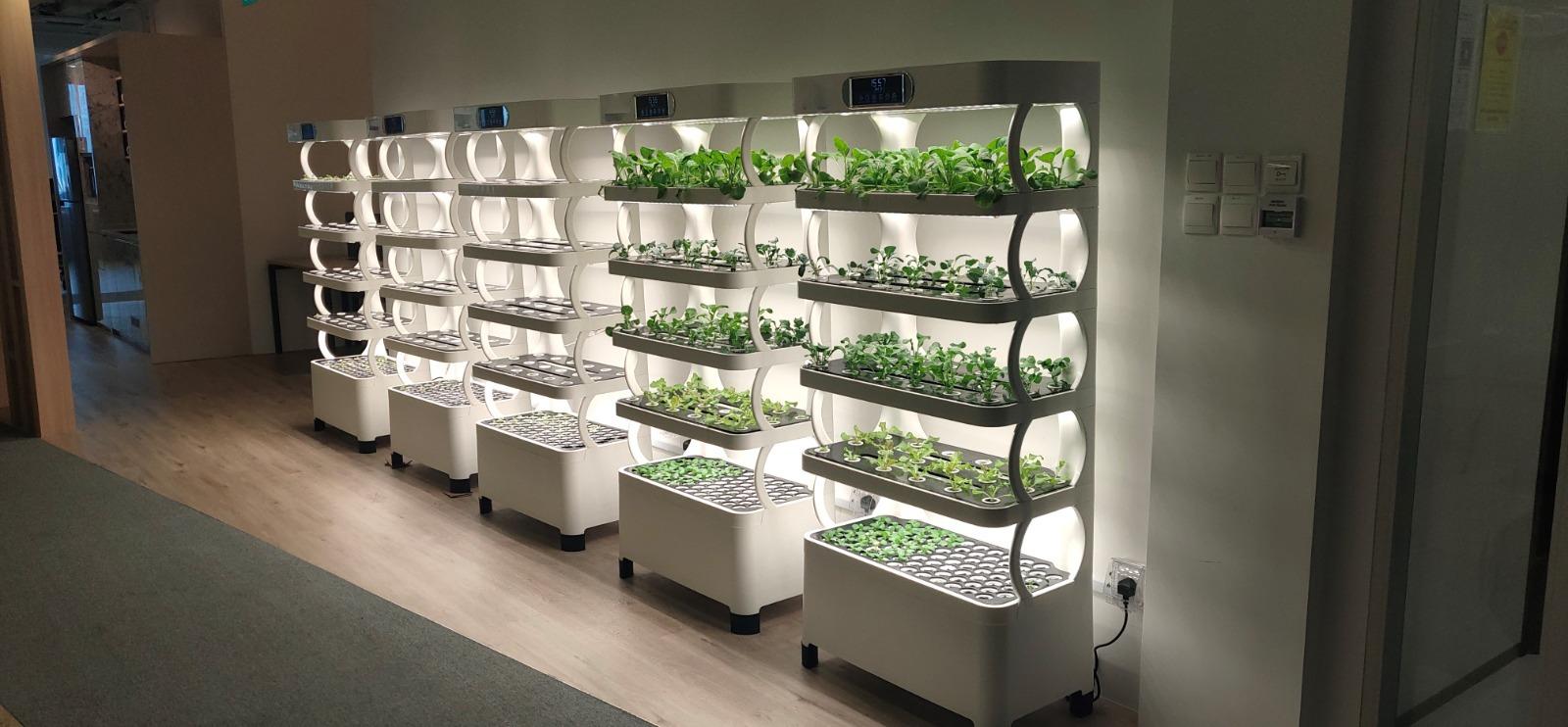 An Inside Look: Intelligent Eco Farm By Tan Lay Hoon