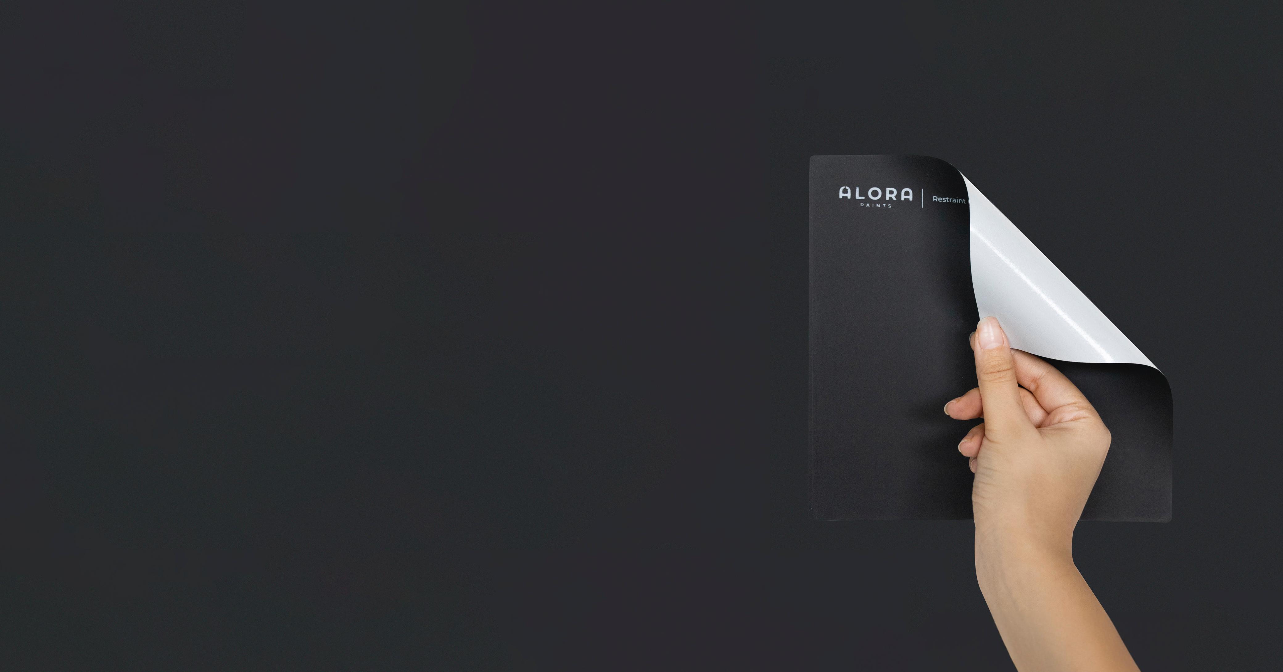 The Paint Points Series: The Power Of Sample Swatches In Interior Makeovers