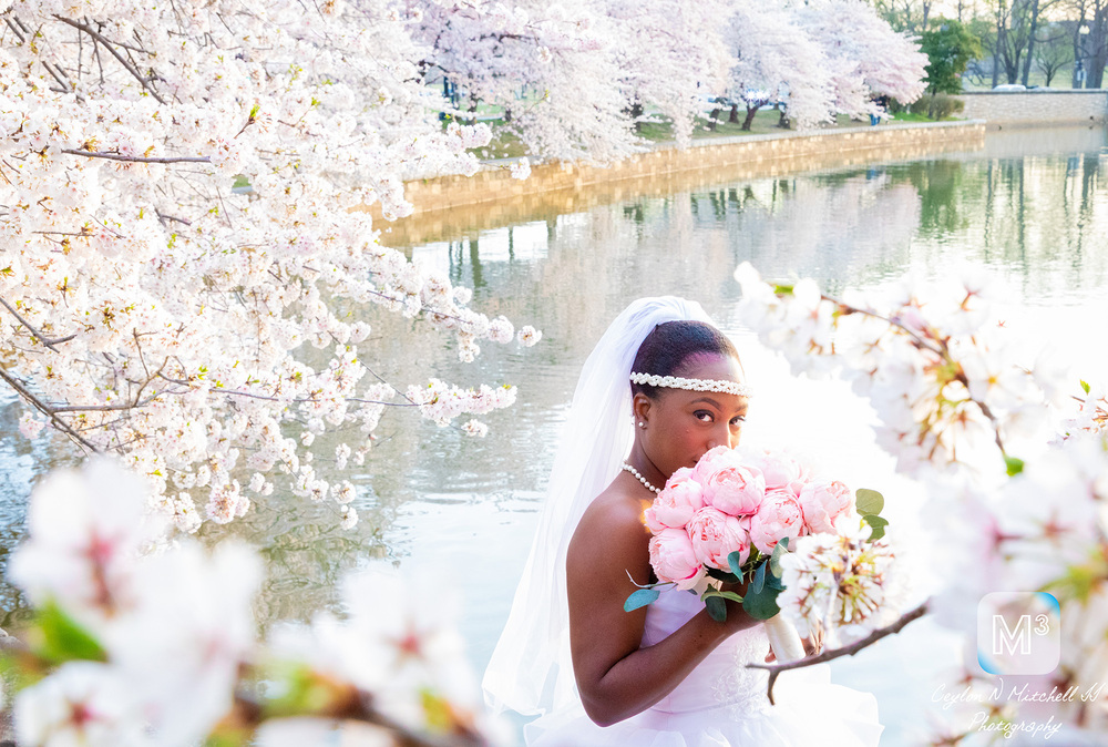 Dr. Ceylon Mitchell II | Stagetime