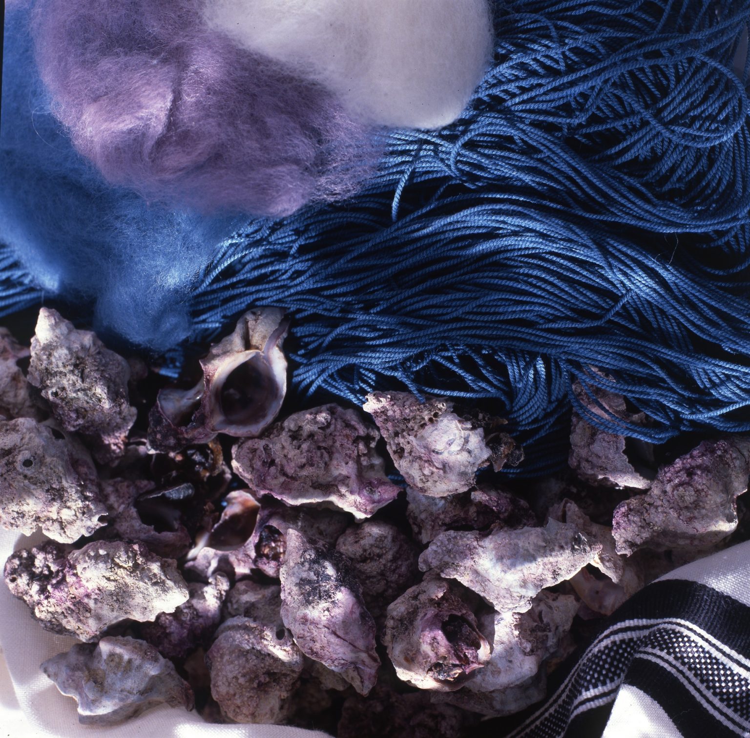 Montage - Ptil Tekhelet