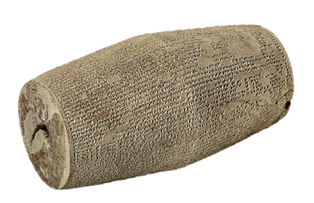 BM22503 - Ptil Tekhelet