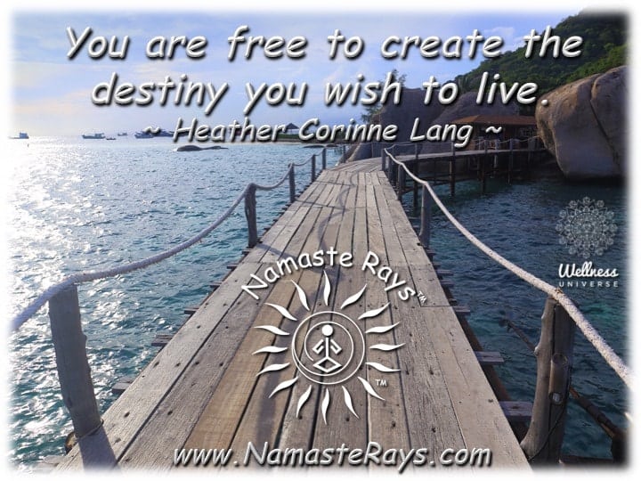 You are free to create your destiny | The Wellness Universe