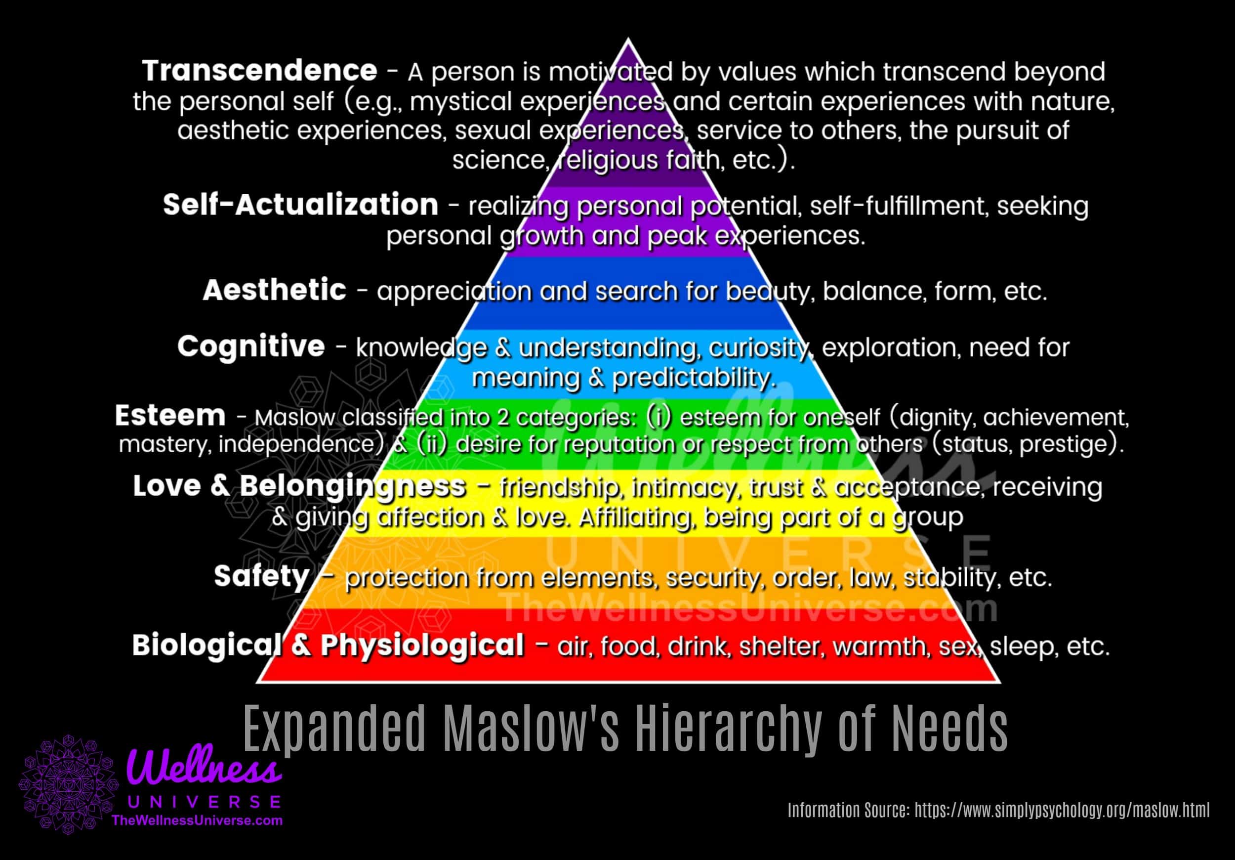 Activity 33596 – The Wellness Universe – The Wellness Universe