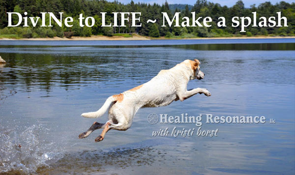 Dive In To Life ~ May this message inspire your summer! | The Wellness ...