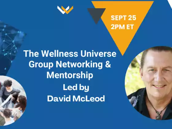 WU Group Networking and Mentorship with David McLeod | The Wellness ...